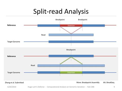 Ppt Computational Analysis On Genomic Variation Detecting And
