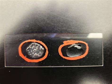 Biochemical Tests Flashcards Quizlet