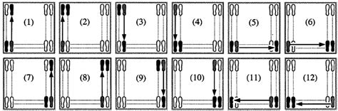 Schematic Representation Of The Steps Of The Sequential Motor Task Download Scientific
