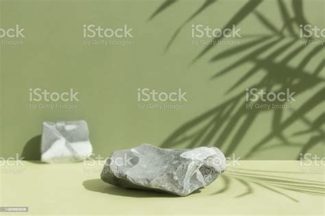 열대 잎의 그림자가있는 녹색 배경에 회색 돌로 만든 빈 연단 제품 미용 천연 에코 화장품의 홍보를위한 장면 쇼케이스 디스플레이 케이스 배경 주제에 대한 스톡 사진 및 기타