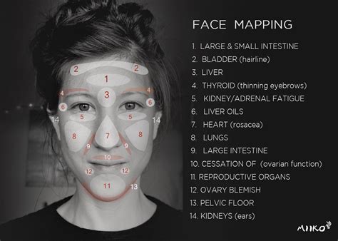 Facial Mapping ศาสตรอานผว สวสไตล บมสวซเครต รวม Live Clip