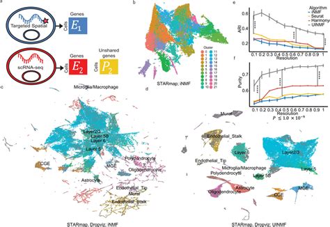Incorporating Additional Genes Improves Integration With Starmap Data A