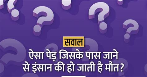 किस पेड़ के पास जाते ही हो जाती है मौत दिमाग में उथल पुथल मचा देते हैं Upsc इंटरव्यू के सवाल