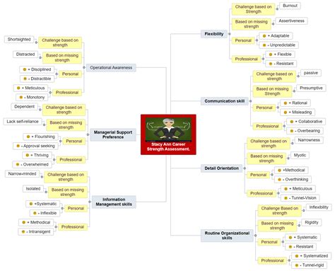 Stacy Ann Career Strength Assessment 5442 Mindview Mind Mapping