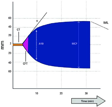 Rotational Thromboelastometry Parameters Download Scientific Diagram