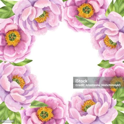 핑크 모란 스퀘어 플라워 프레임 꽃 무늬 새싹과 녹색 잎 손으로 그린 수채화 그림 고립 된 배경 엽서 초대장 섬유 옷 인사말 카드 인쇄용 0명에 대한 스톡 벡터 아트 및