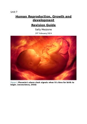 Human Reproduction Unit Access To Midwifery Distinction Human Reproduction Growth And