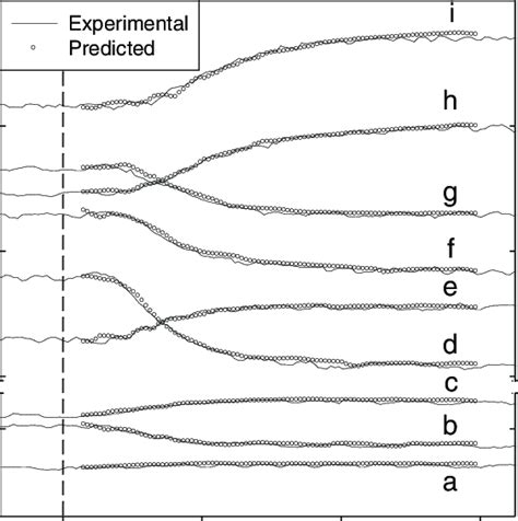 Comparison Of Transient Model Predictions And Experimental Permeate Download Scientific Diagram