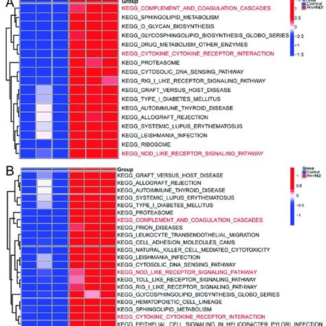 Toll Like Receptor Signaling Pathway Significantly Activated By Pm