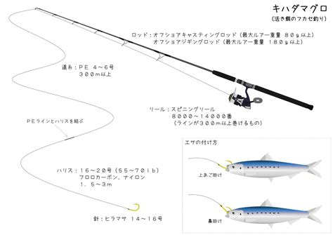 船釣りタックル紹介 キハダマグロ（フカセ釣り）編 釣りあしすと