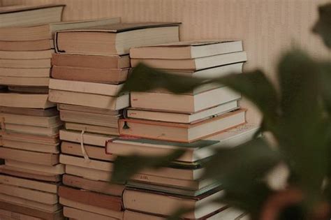 아침으로 먹기 좋은 그릭 요거트의 효능