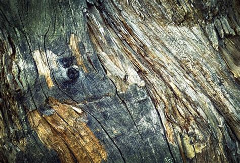 Vieux Bois Moisi Image Stock Image Du Couleur Vieux 50116925