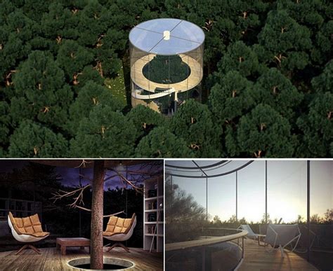 Structures And A Tunnel Built Around Trees