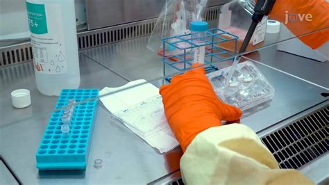 비디오 Mycobacterium Tuberculosis Infected Macrophage Subpopulations의 유세포 분석 염색 실험