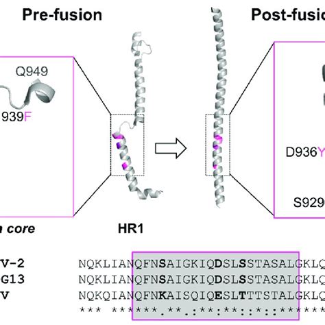 Structural And Sequence Location Of The Reported Mutations Top Download Scientific Diagram