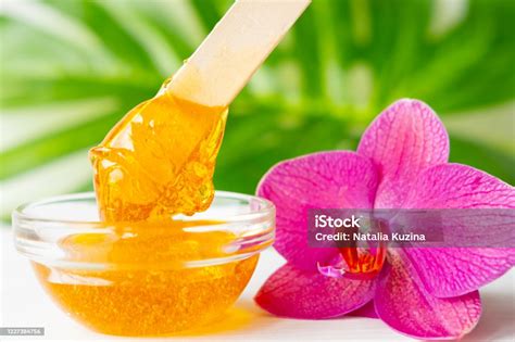 머리 제거를위한 설탕 페이스트 또는 왁스 꿀나무 왁싱 주걱 스틱에서 아래로 흐른다 꽃 배경 제모 및 뷰티 개념 0명에 대한 스톡 사진 및 기타 이미지 Istock