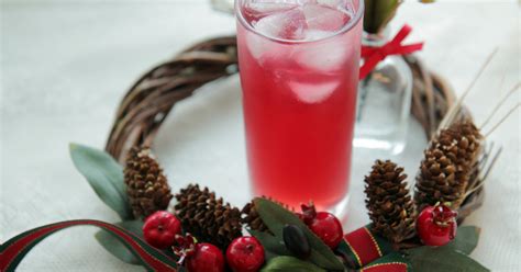 간단한 칵테일 시 브리즈