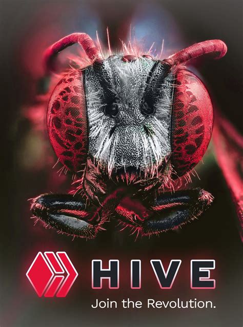 What Does Hive Mean To Me Journey — Hive