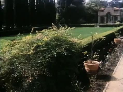 Monique Gabrielle Porn Videos Porn Star Sex Scenes Xhamster