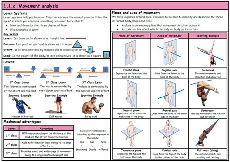 Movement Analysis