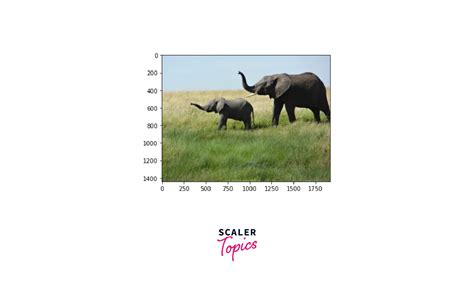 Optimizing Models For GPU Servers In Keras Scaler Topics