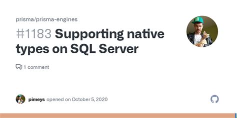 Supporting Native Types On Sql Server · Issue 1183 · Prismaprisma