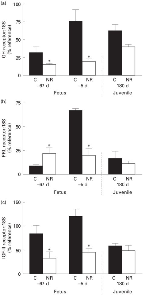 Effect Of Maternal Nutrient Restriction During Early To Midgestation On Download Scientific