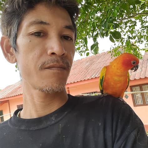 ตาสีชอบgame