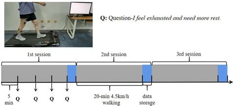 the schematic plot of the experimental paradigm download scientific