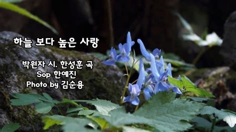 Sop Photo By Youtube