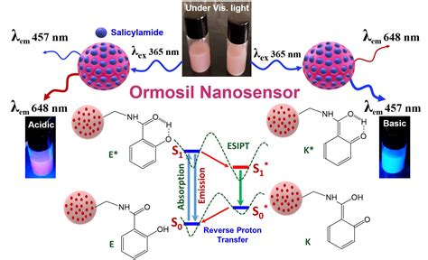 Biosensors Free Full Text Dual Optical Nanosensor Based On Ormosil Nanoparticles For
