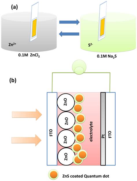 A Silar Cycle B Schematic Sketch For Qdssc With Zns Buffer Layer