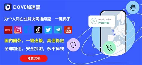 TLY不能用了跑路了TLY梯子代理和beecloud完美替代 DOVE加速器 评测