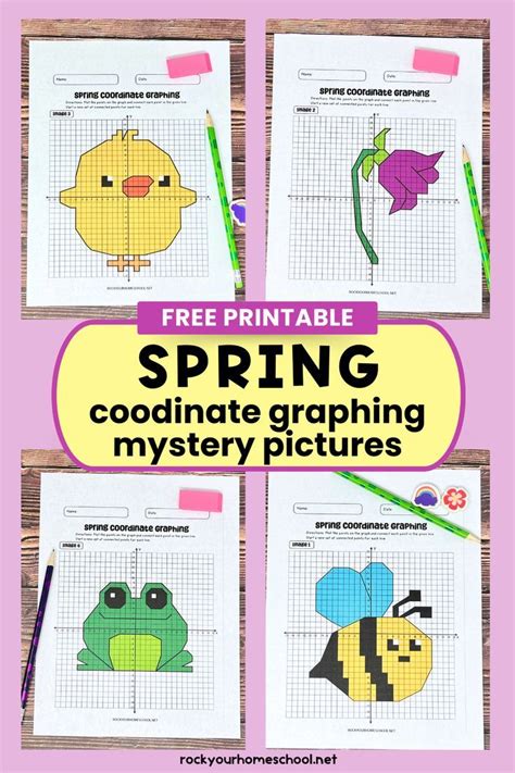 Coordinate Graphing Mystery Pictures For Spring Fun Free In 2024 Puzzel