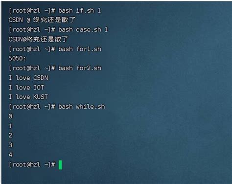 Linux运维之shell基础 阿里云开发者社区