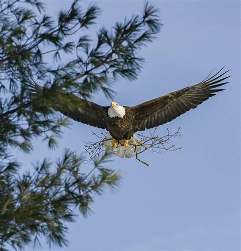 Karl Ramsdell Karlramsdell • Instagram Photos And Videos