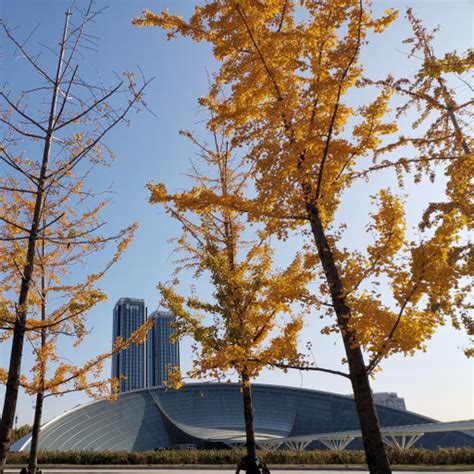 Hu Yifan Inner Mongolia University School Of Computer Science Software Engineering