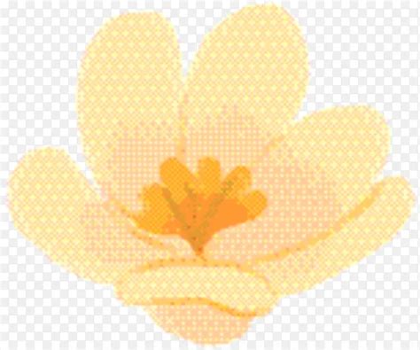 黄色 花瓣 花朵PNG图片素材下载 图片编号6862515 PNG素材网