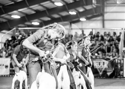 Cyae Legacy Livestock Imaging