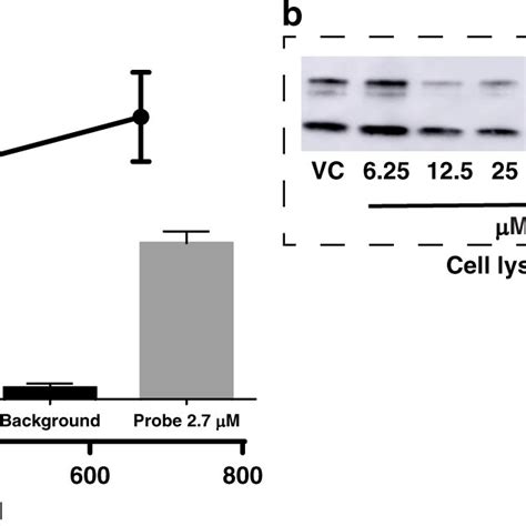 Microwave Assisted Synthesis Of Furosemide Analogs Eleven Compounds Download Scientific