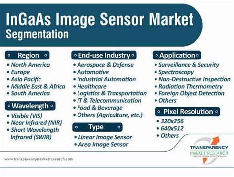 Ingaas Image Sensor Market Scope Dynamics Future Scenario 2031