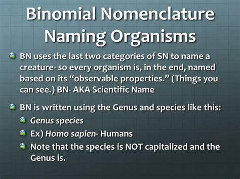 Ppt Binomial Nomenclature Powerpoint Presentation Free Download Id