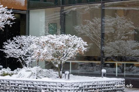 법륜스님의 하루 열심히 일했더니 상사가 비난을 받게 되어 마음이 불편해요 20240222