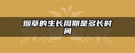 烟草的生长周期是多长时间 蓝妖花园