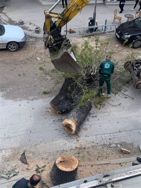 Илија Димитриевски 📣 На седницата на Советот на Општина Тетово во вторникот на 28ми помина