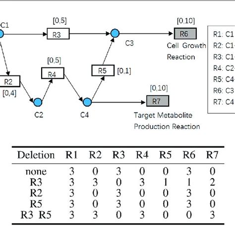 A A Toy Example Of The Constraint Based Models Rectangular Nodes Download Scientific