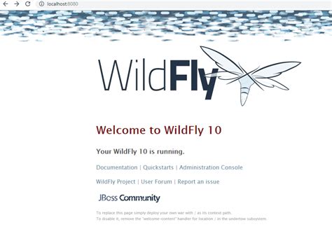 ¿como Entrar Al Modo Consola Administrativa En Un Servidor Wildfly Por Medio De Docker Stack