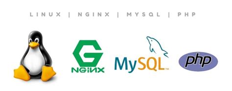 Como Instalar Nginx Mysql Php Lemp Stack No Ubuntu By Absam