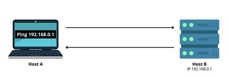 How To Ping Your Vmvare Linux Machine To The Main Os By Reek Elderblod Oct 2024 Infosec