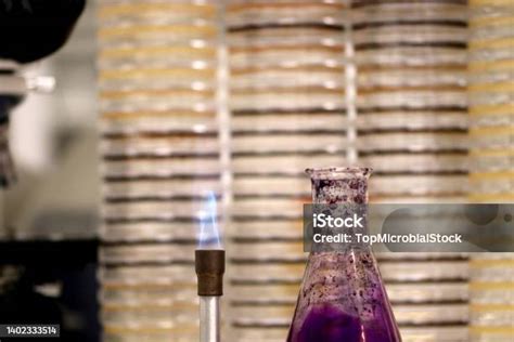 분센 버너 옆에 화학 염료가있는 실험실 유리 또는 플라스크가 미생물 기술에 사용됩니다 Stem 주제에 대한 스톡 사진 및 기타 이미지 Stem 주제 개념 건강관리와